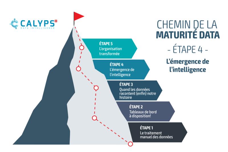 Data maturity, step 4: Forecasts or predictions • CALYPS